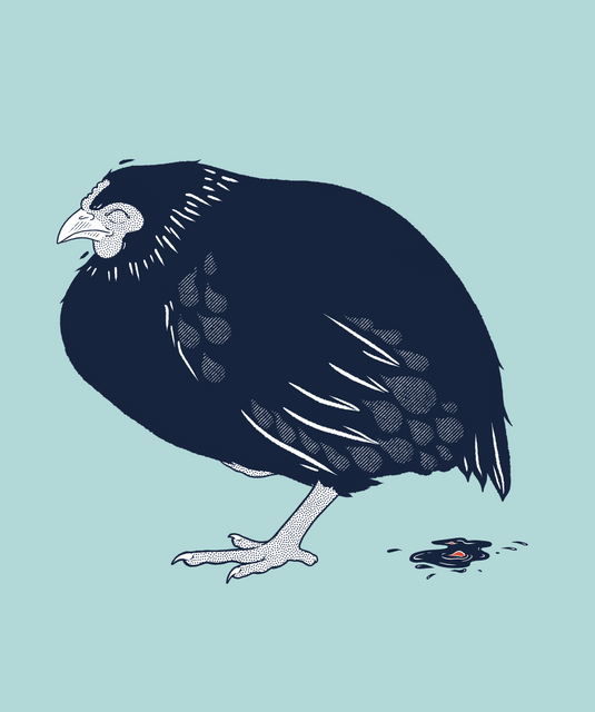 Coccidiosis – Avian Empire