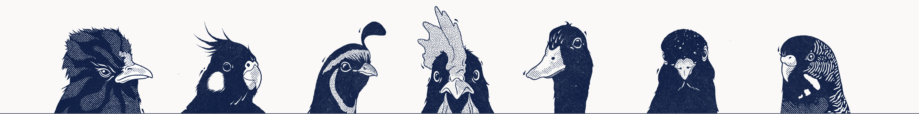 Harrison's - Adult Lifetime Coarse Pellets – Avian Empire